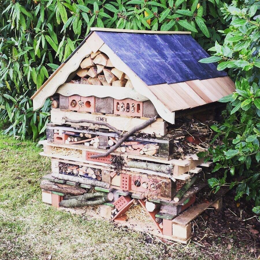 Why Every Garden Needs a Bug Hotel - Thames Valley Landscapes